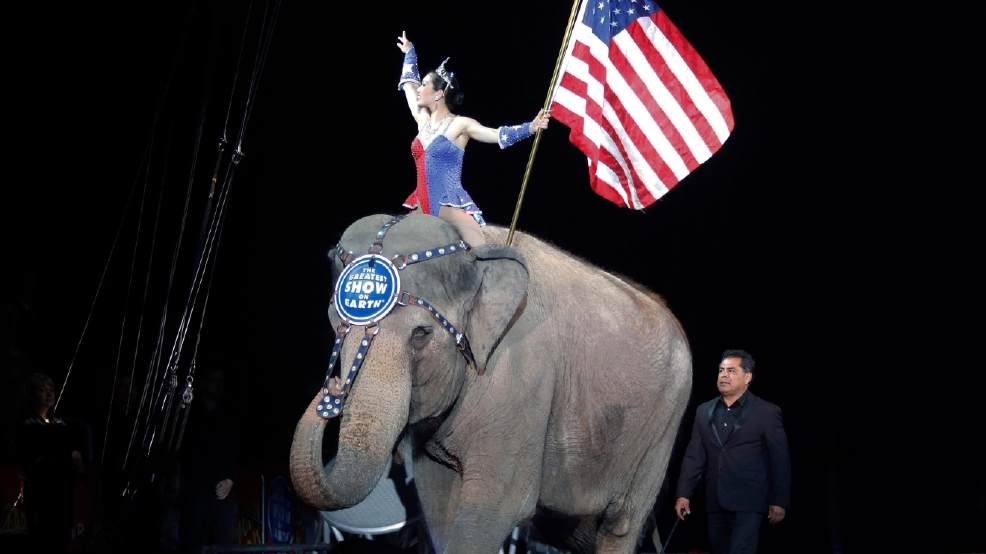 Elephants perform for final time at Ringling Bros. circus | KOMO