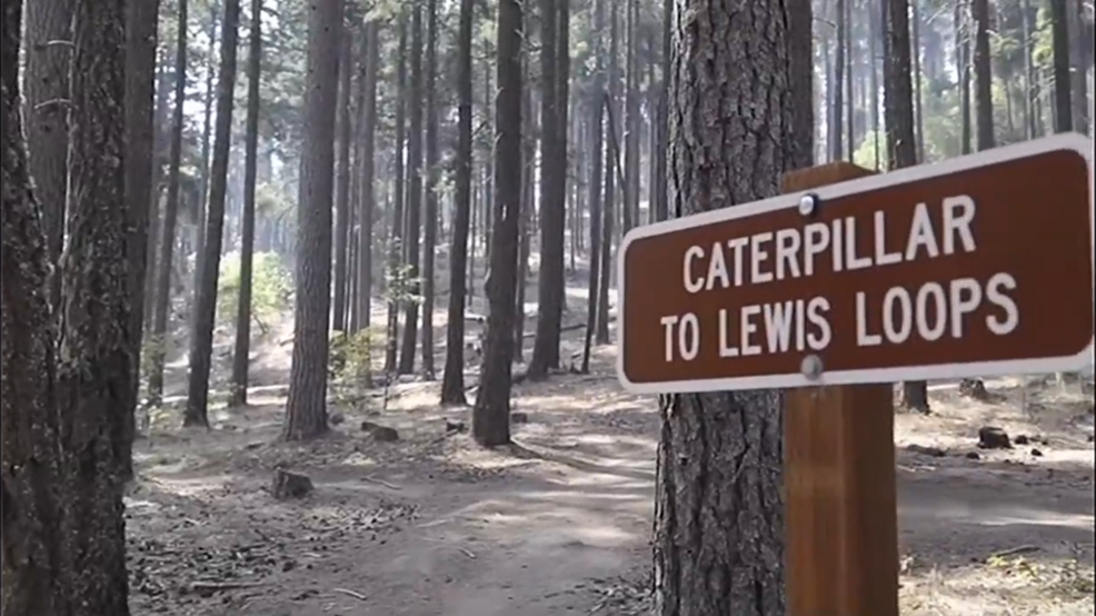Oregon Outdoors: Ashland Watershed's Caterpillar Trail | KTVL