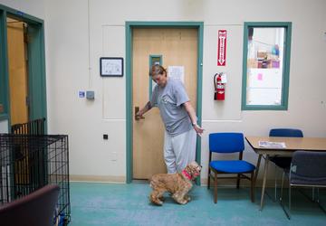 Why locals are taking their pets to this Gig Harbor prison | Seattle ...