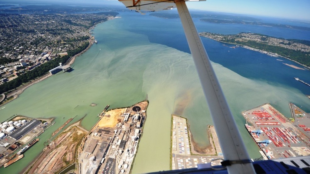 New project to tackle Puget Sound's growing polluted stormwater | KOMO