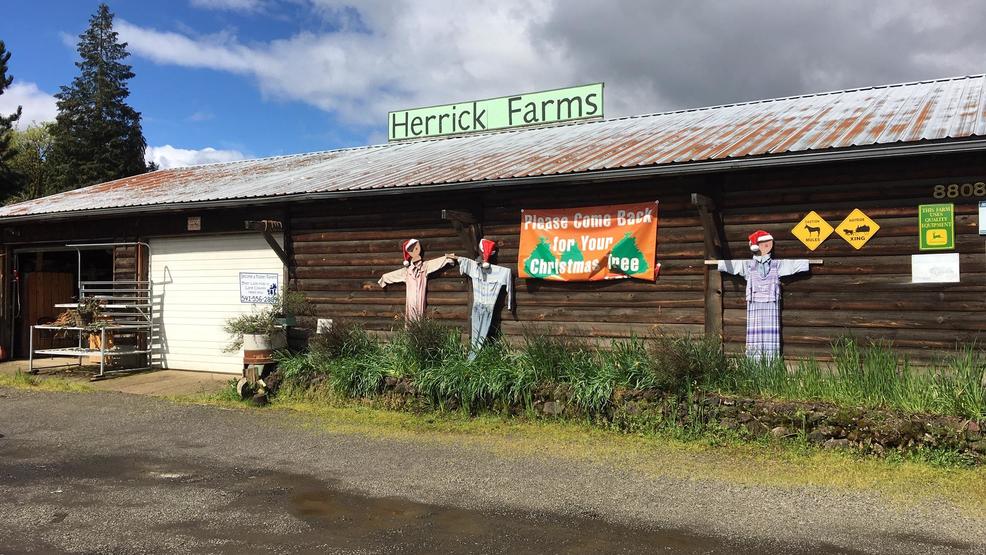 Abundance of family farms in Oregon could lead to a land crisis | KMTR